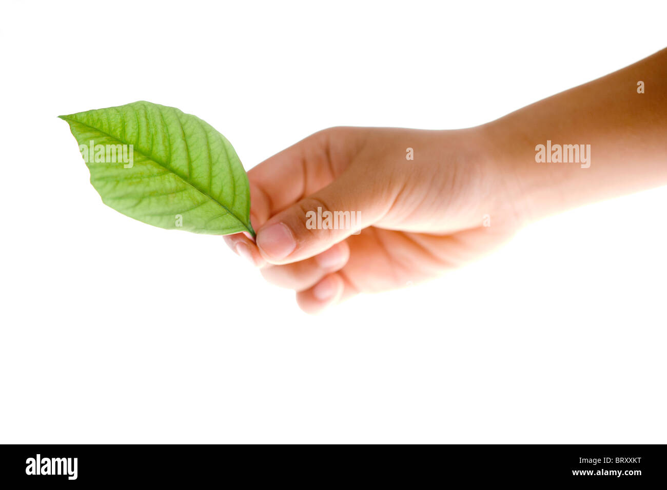 Child holding hand close up Cut Out Stock Images & Pictures - Alamy