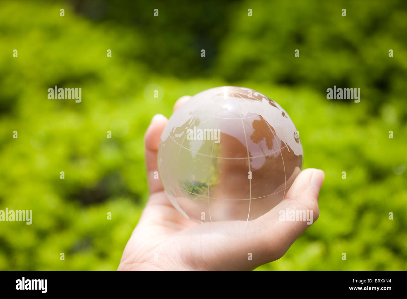 A hand holding globe Stock Photo - Alamy