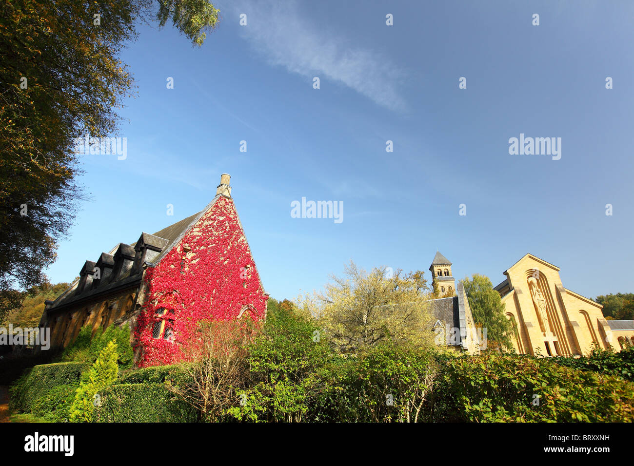 Orval Abbey Cheese High Resolution Stock Photography and Images - Alamy