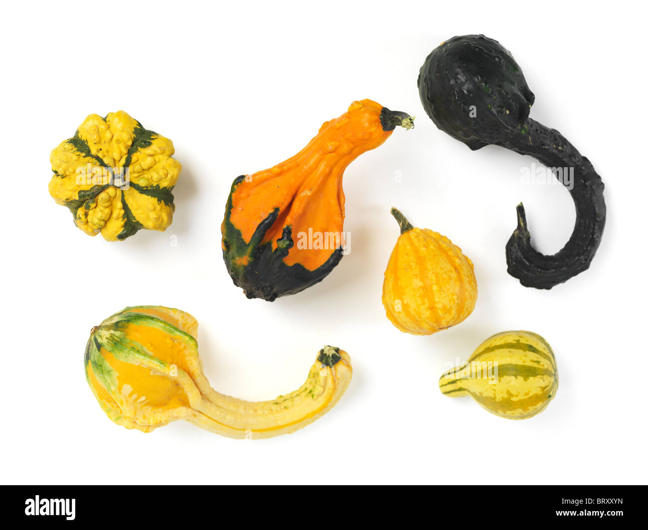 Colorful gourds isolated on white background Stock Photo - Alamy