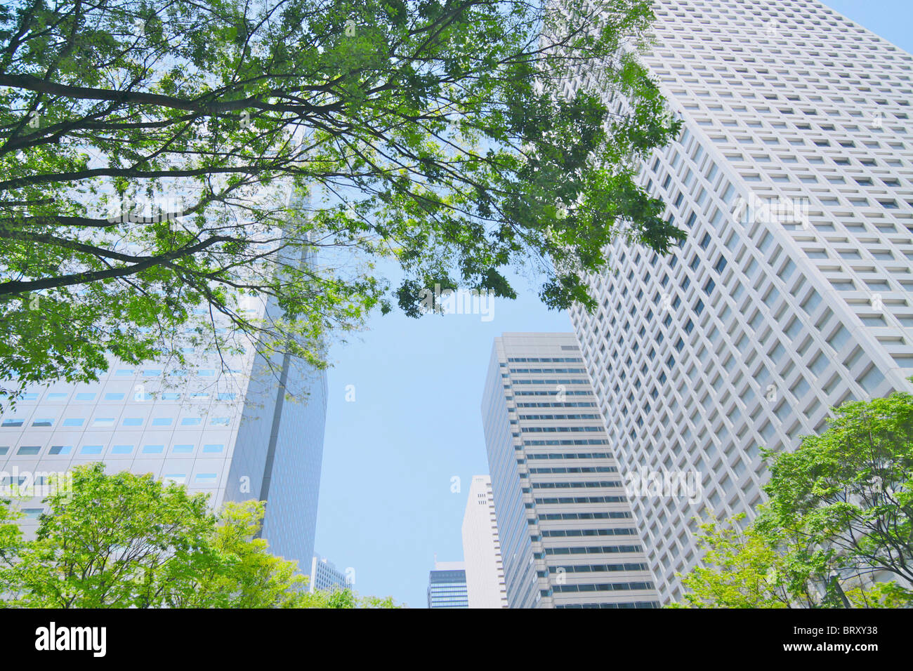 Office buildings in Shinjuku Ward, Tokyo Prefecture, Honshu, Japan ...