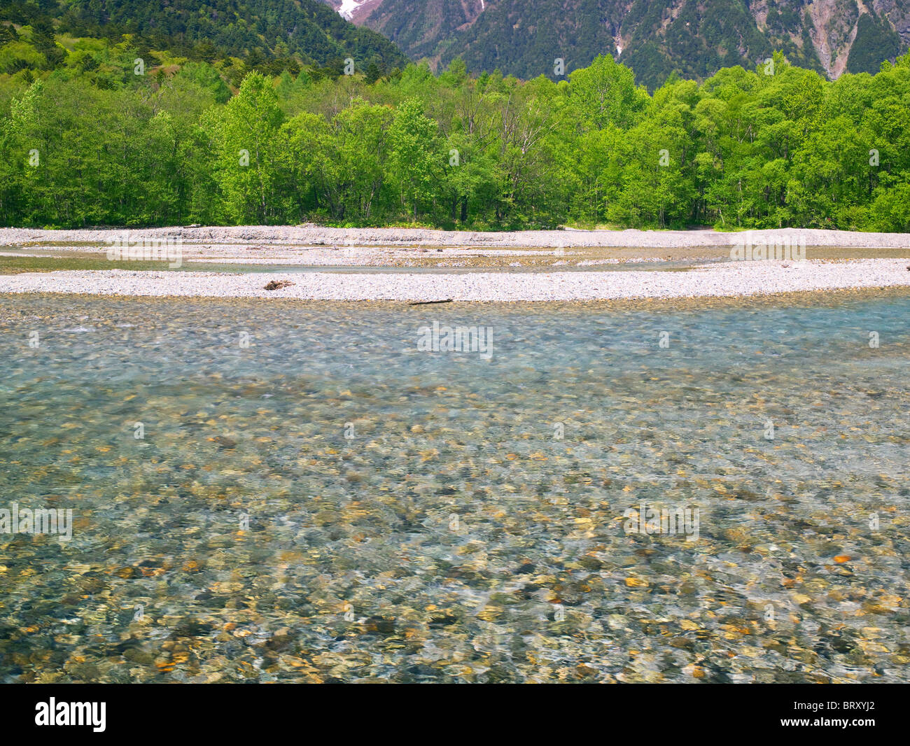 River and forest, Nagano Prefecture, Honshu, Japan Stock Photo - Alamy