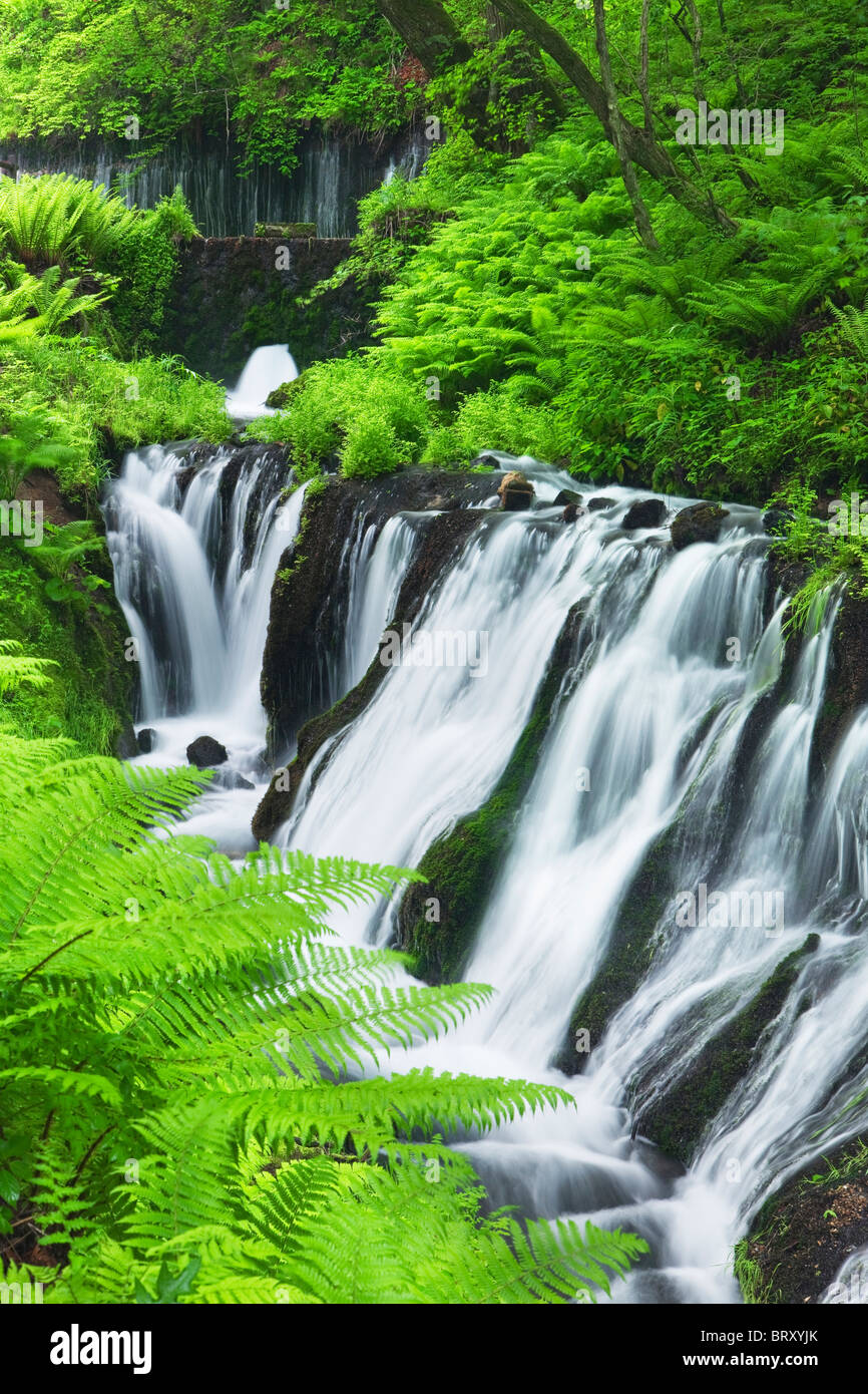Shiraito waterfall hi-res stock photography and images - Alamy