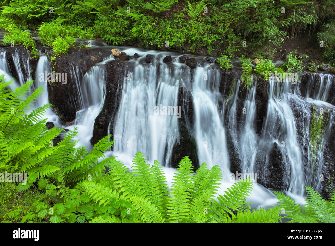 Shiraito waterfall, Nagano Prefecture, Honshu, Japan Stock Photo - Alamy