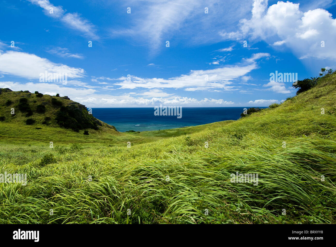 Grass field and sea, Okinawa Prefecture, Japan Stock Photo - Alamy
