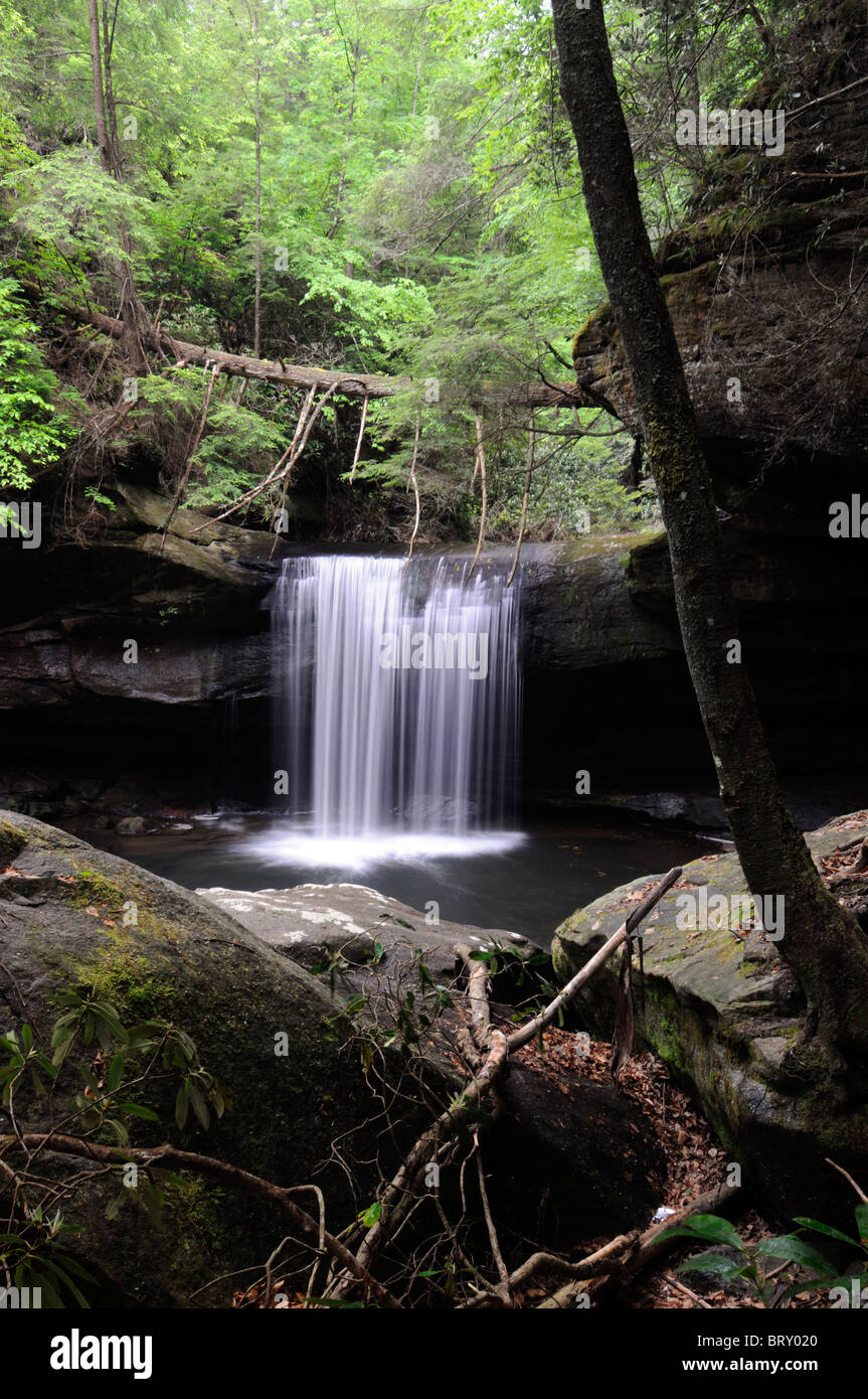 Dog slaughter Falls waterfall Cumberland Falls State Park Kentucky ...