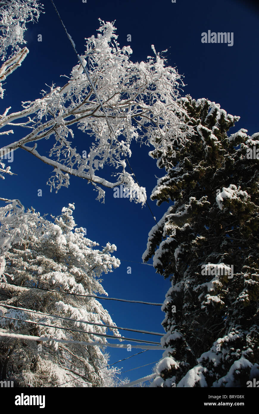 Ice power lines hi-res stock photography and images - Alamy