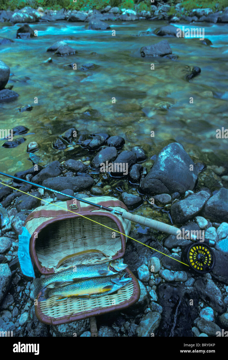Flyfisherman's creel, fly rod and caught trout on shore of Cascade ...