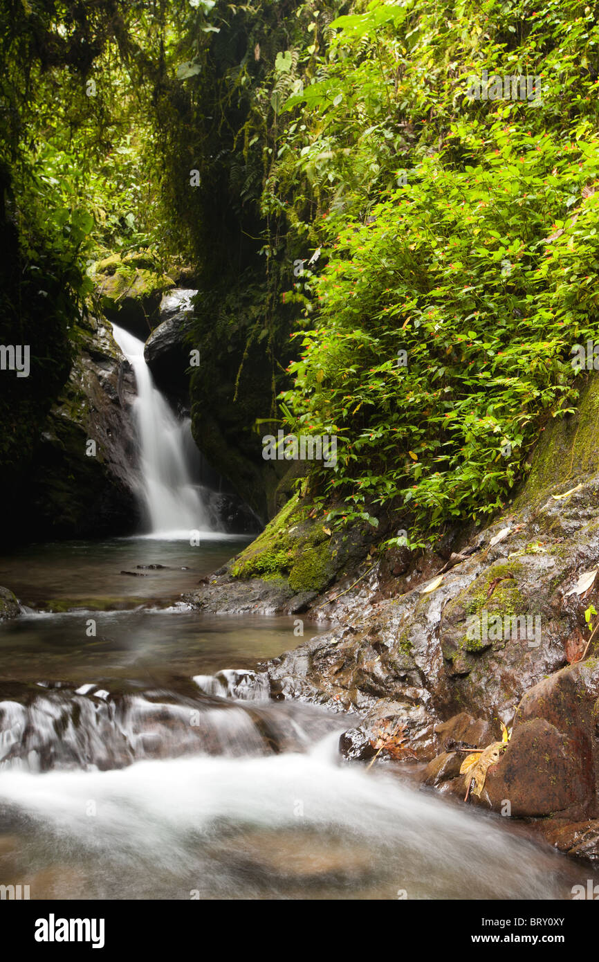 Waterfall In The Amazon Rain Forest Stock Photo - Alamy