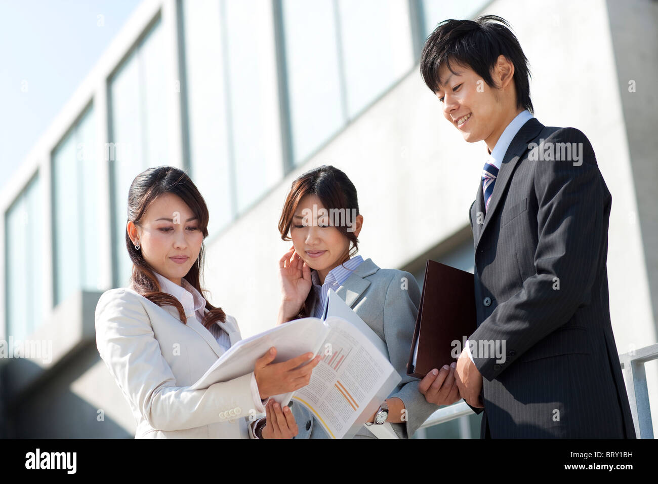 Business people looking at documents Stock Photo - Alamy