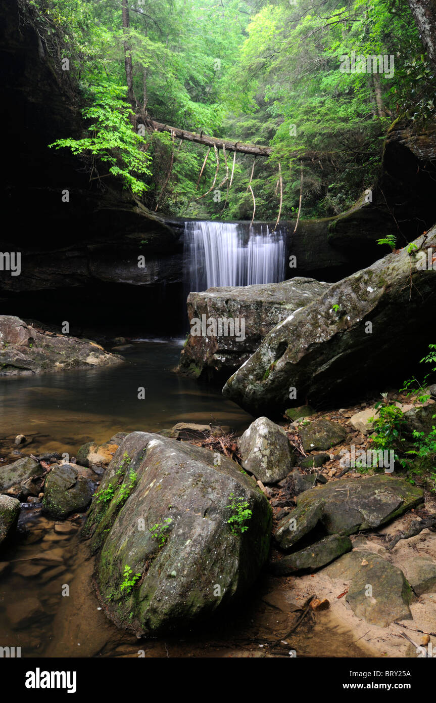 Dog slaughter Falls waterfall Cumberland Falls State Park Kentucky ...