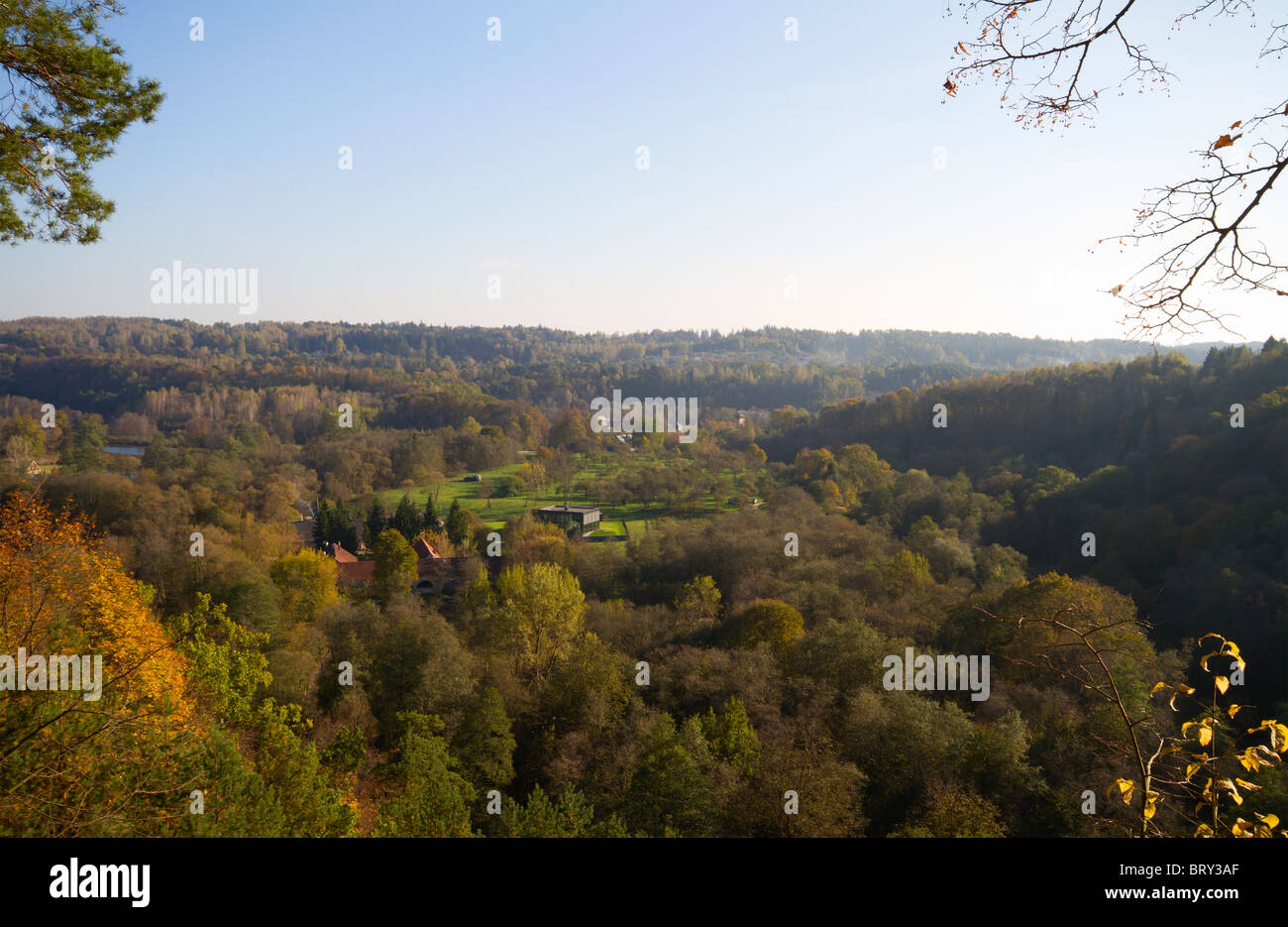 Autumn forest view hi-res stock photography and images - Alamy