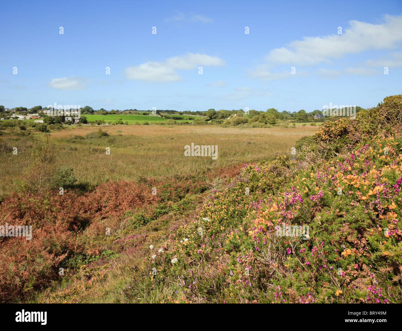Cors goch nature reserve hi-res stock photography and images - Alamy