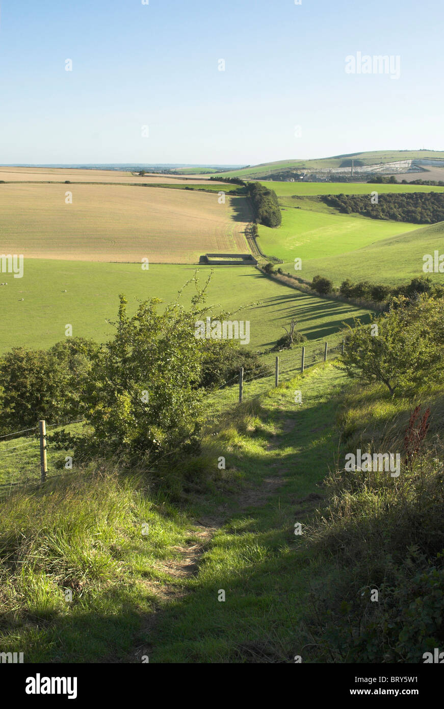 Beeding hill hi-res stock photography and images - Alamy