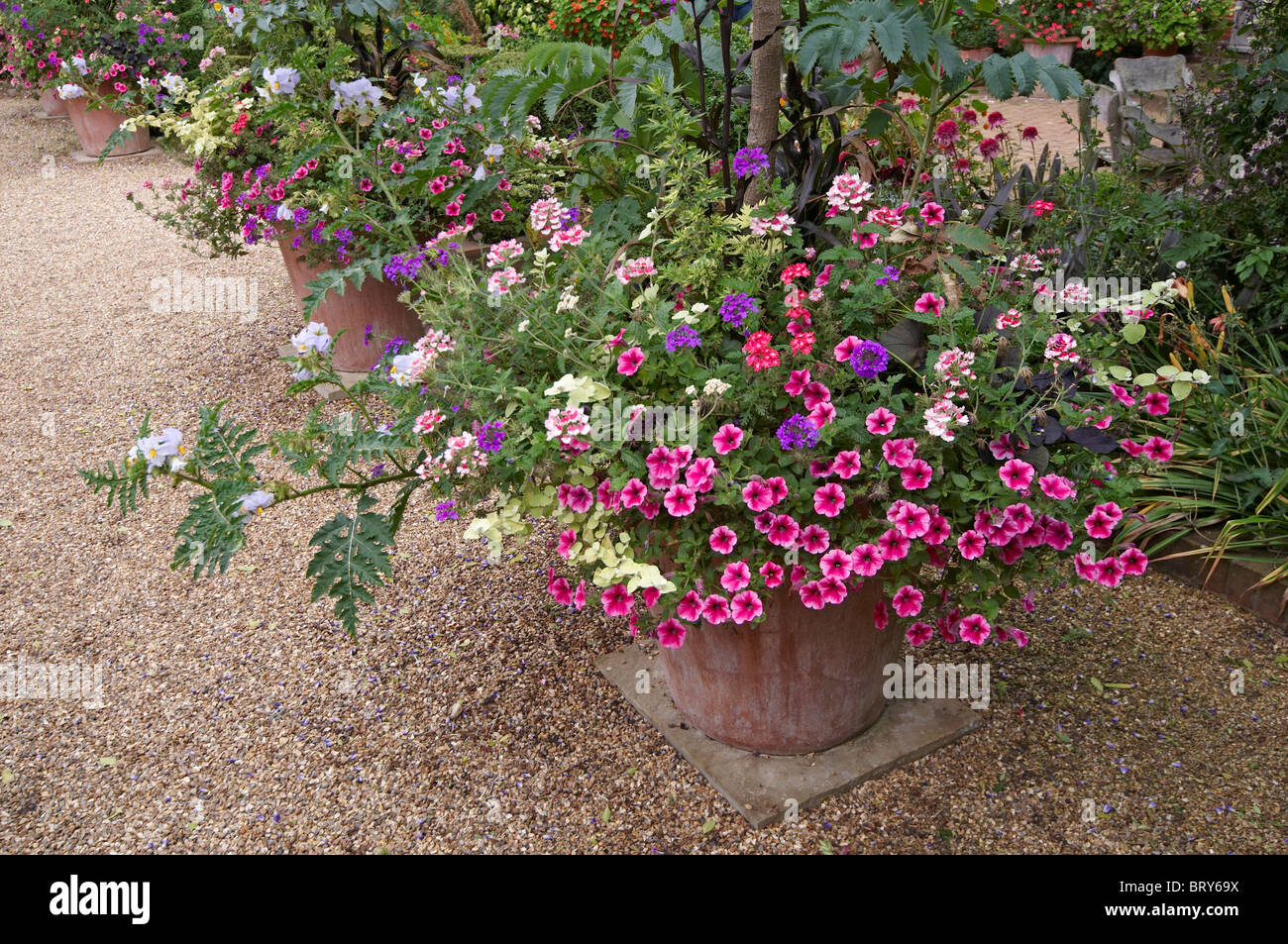 English country garden with colourful planted container Stock Photo - Alamy