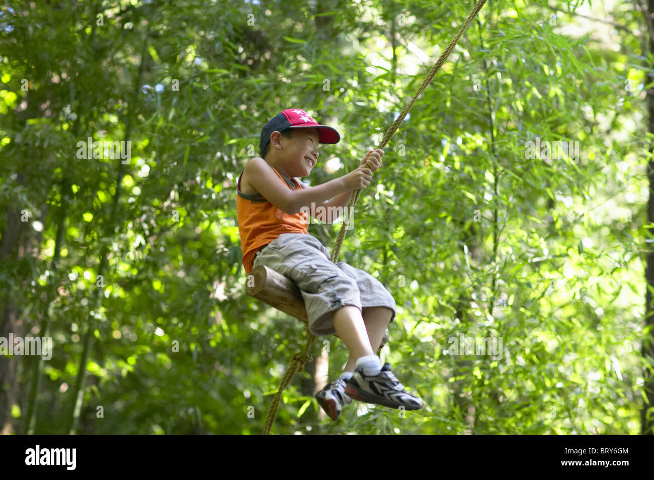 Boy on tree swing smiling Stock Photo - Alamy
