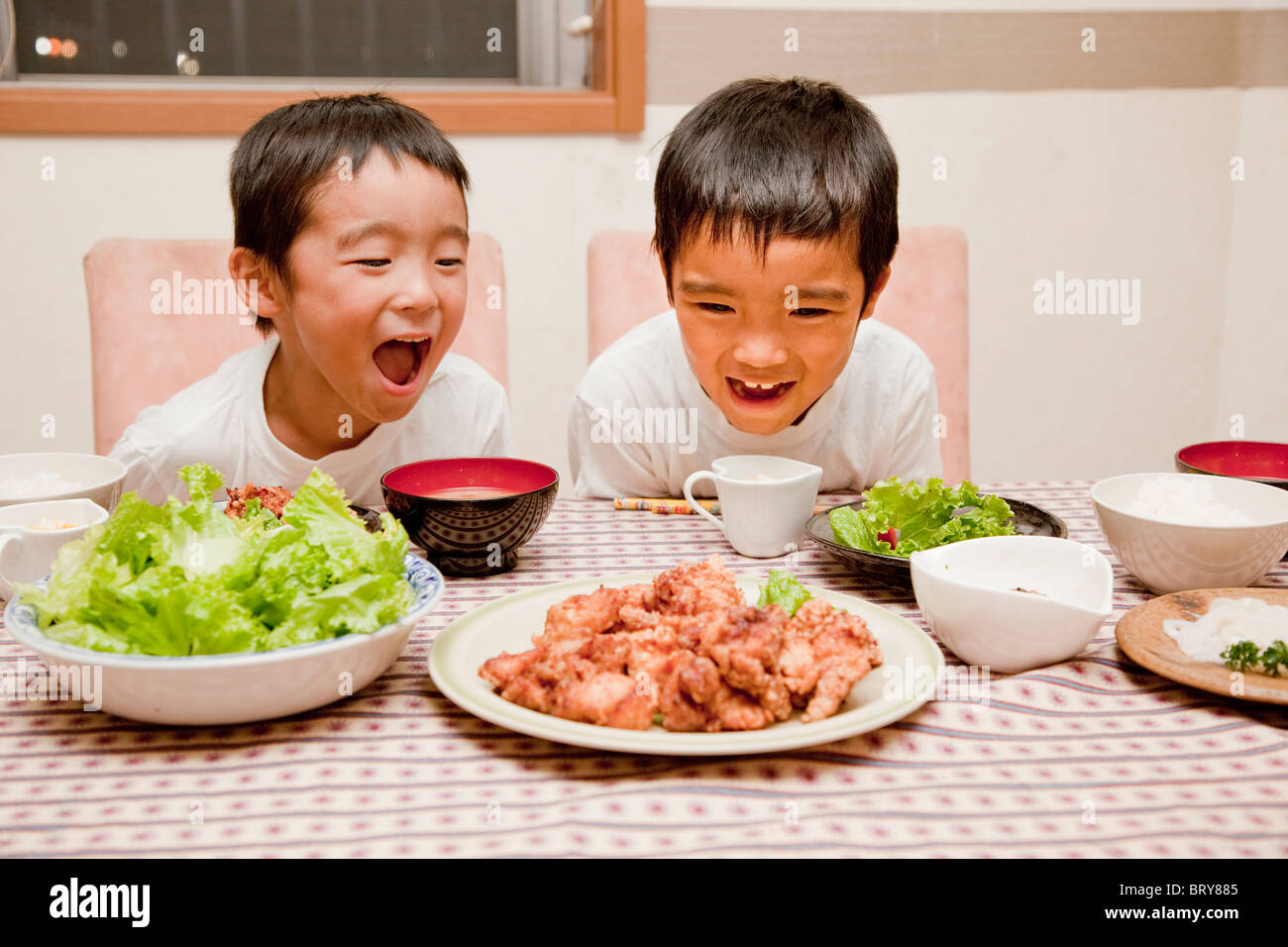 Two boys with chicken hi-res stock photography and images - Alamy