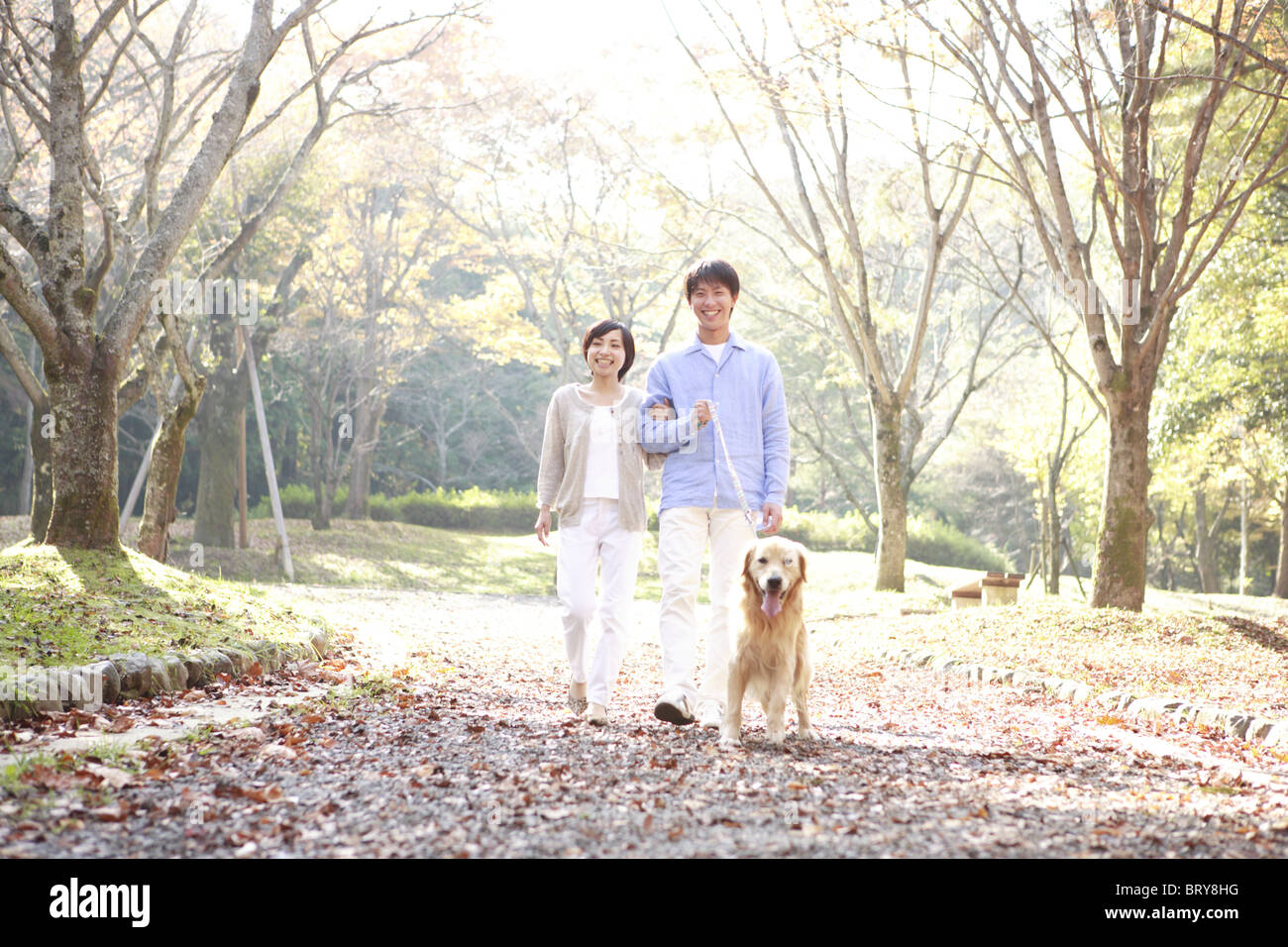 Young Couple and a Domestic Dog Talking A Walk in Park Stock Photo - Alamy