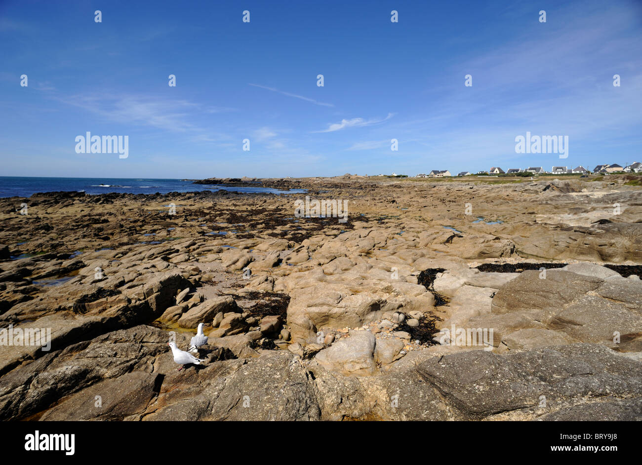 France, Brittany (Bretagne), Morbihan, Quiberon coast Stock Photo - Alamy