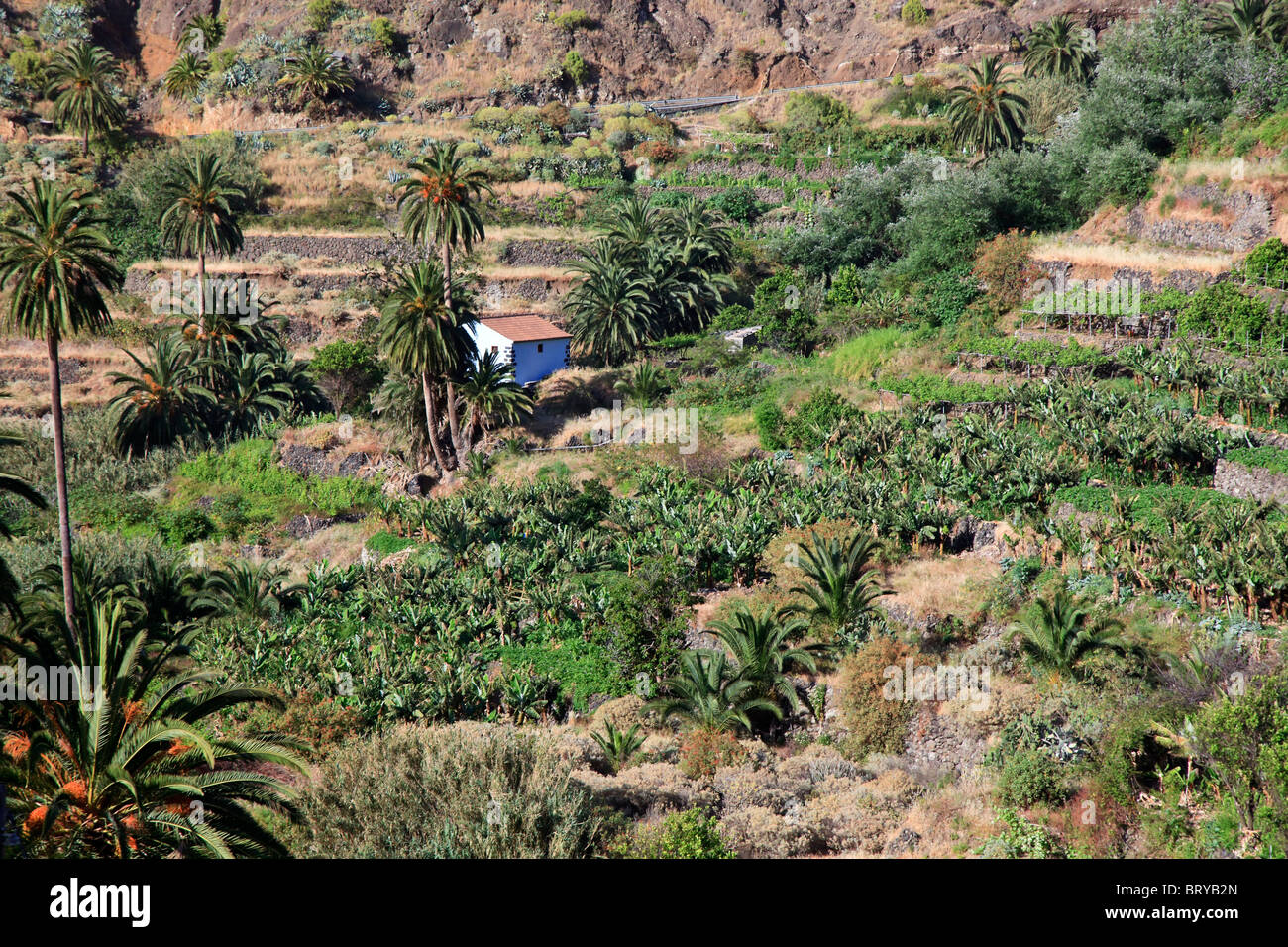 Canary Islands, La Gomera, Hermigua Stock Photo - Alamy