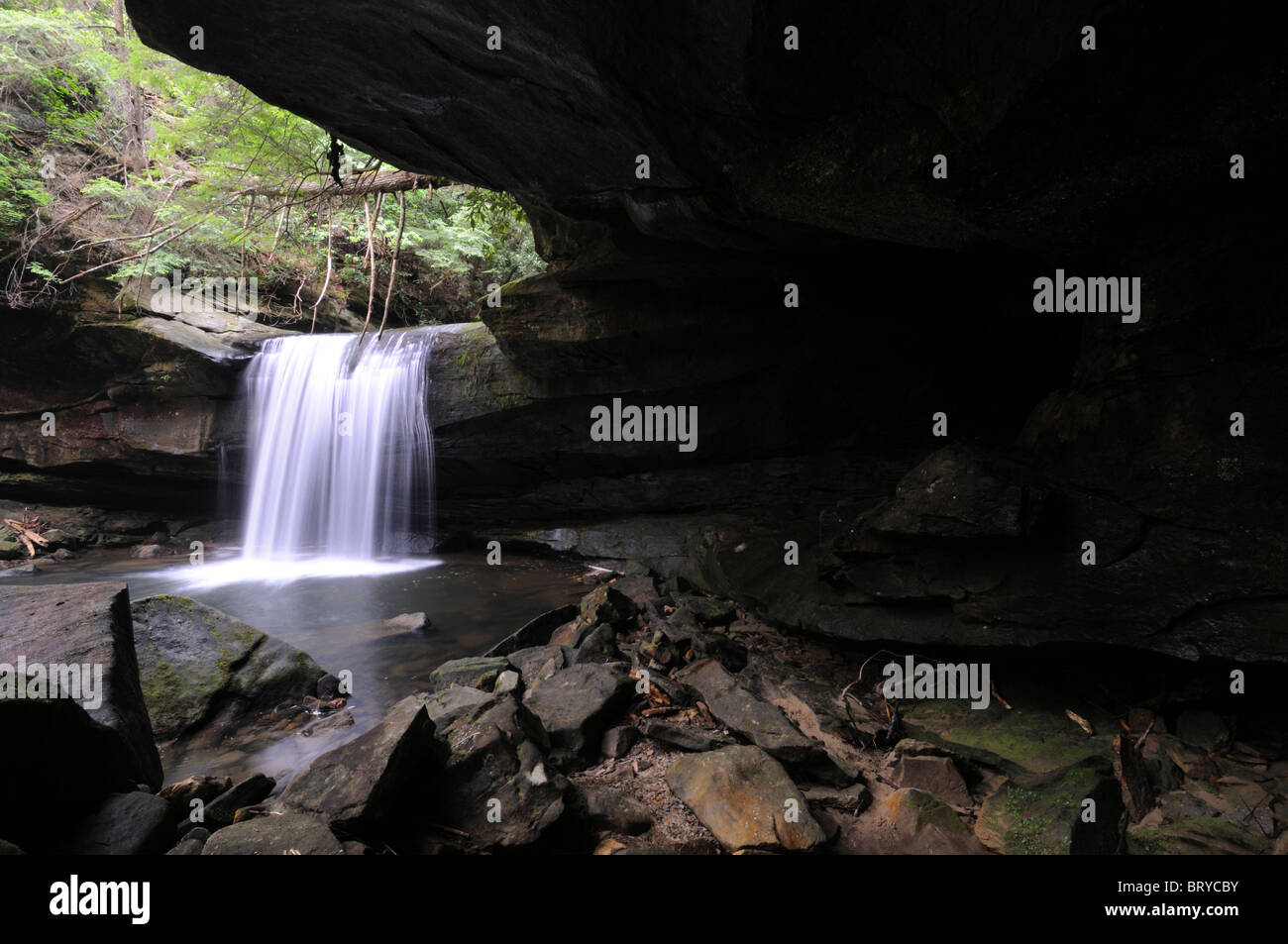 Dog slaughter Falls waterfall Cumberland Falls State Park Kentucky ...