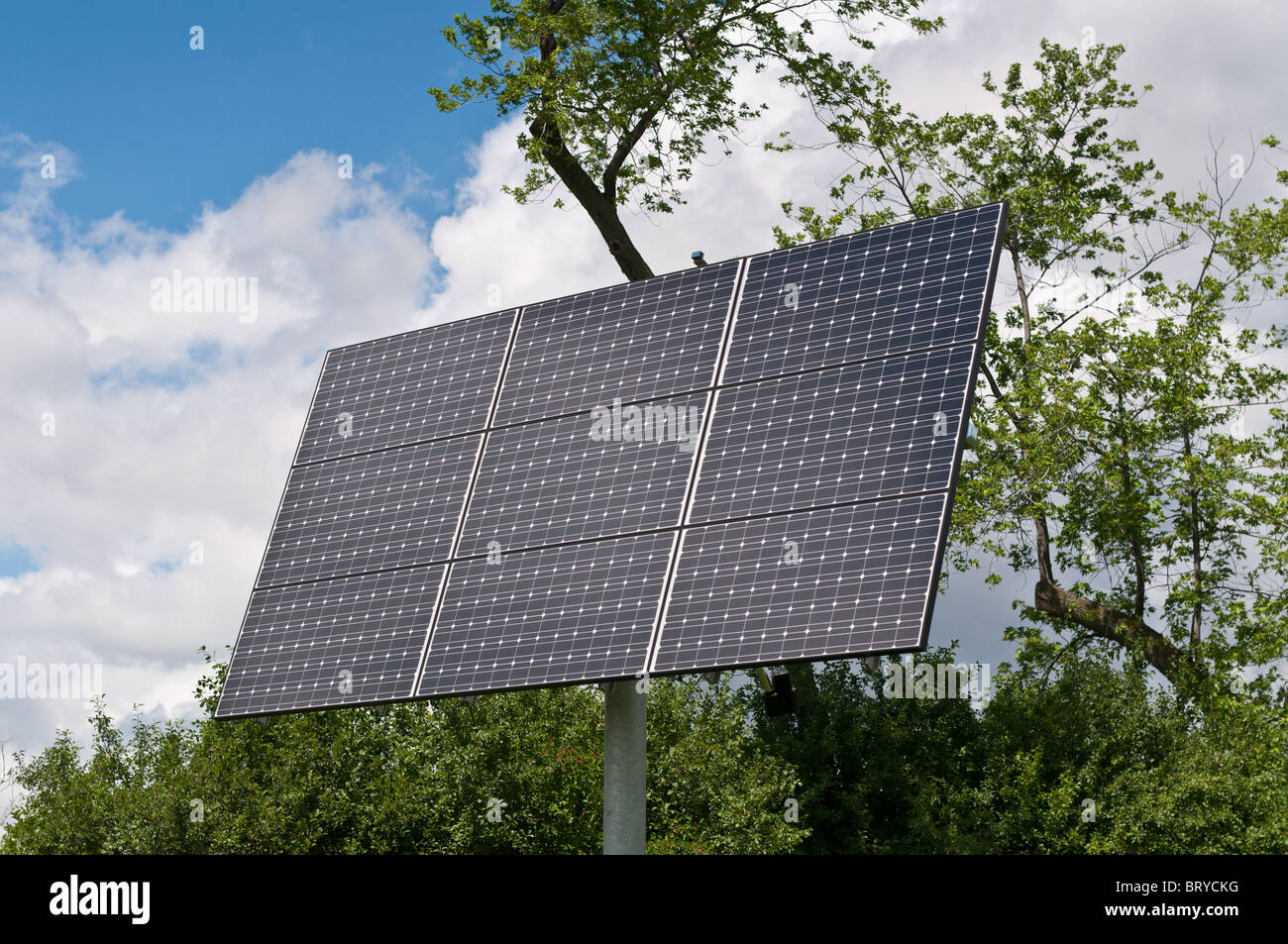 A photovoltaic solar panel array with a blue sky and green leaves in ...