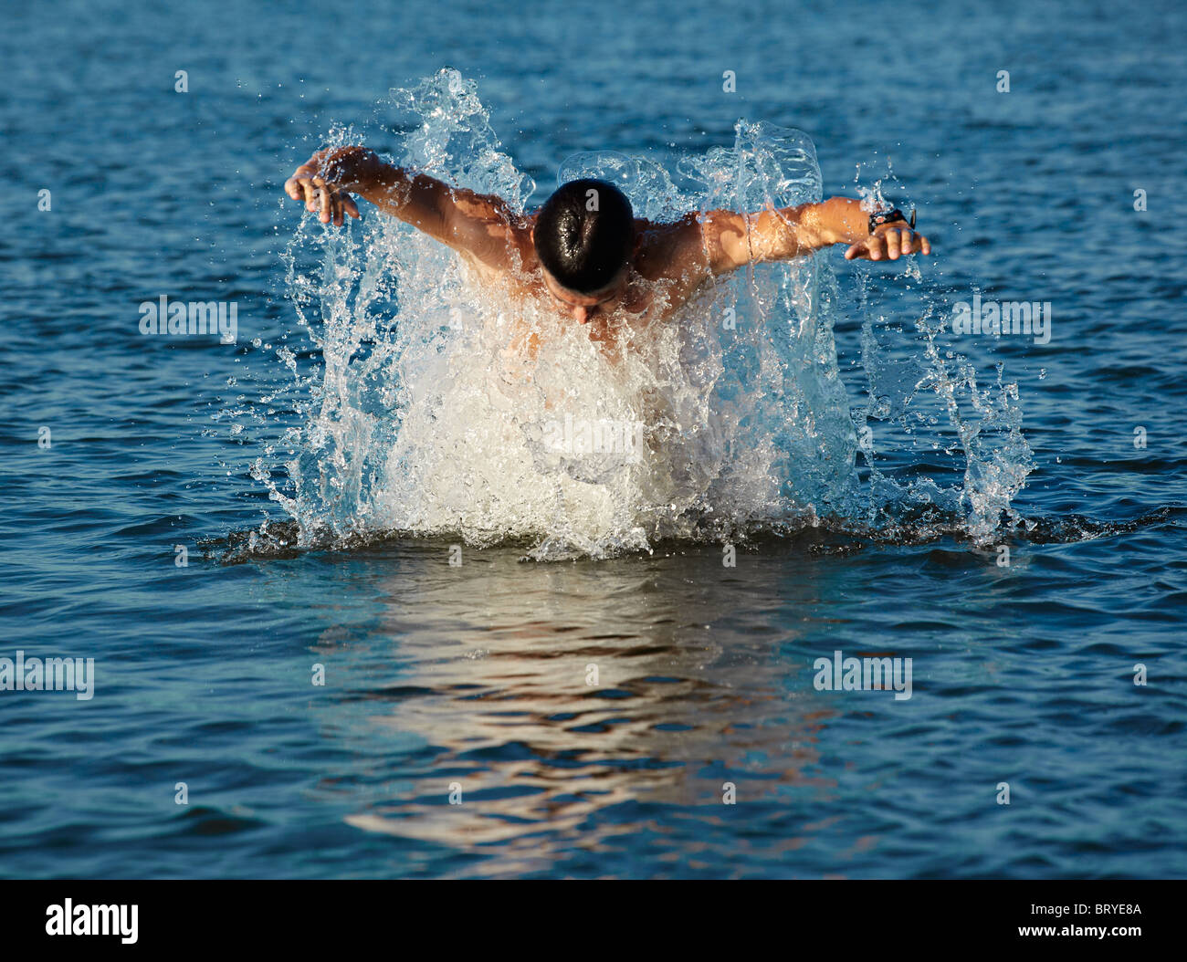 man swimmer comes up from water to dive in it Stock Photo - Alamy