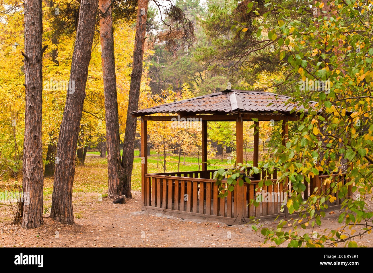 Wooden pavilion and various trees in the park at autumn horizontal ...