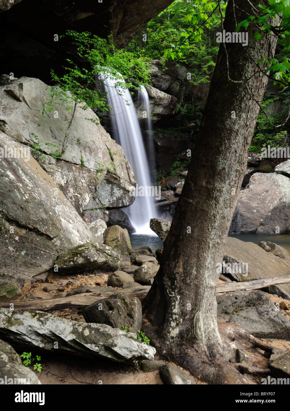 Eagle Falls waterfall at Cumberland Falls State Park Kentucky undercut ...