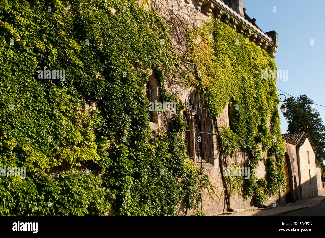 Chateau virginia creeper hi-res stock photography and images - Alamy