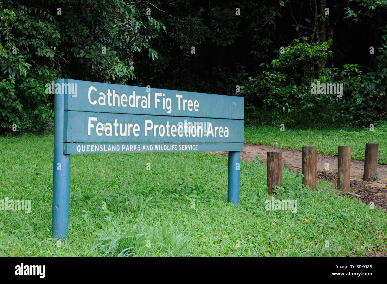 Queensland rianforest hi-res stock photography and images - Alamy