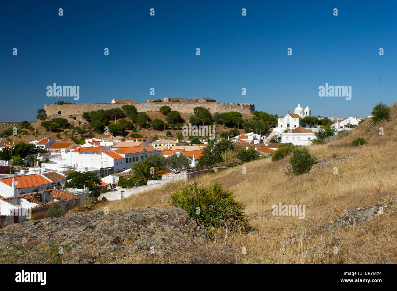 Marim hi-res stock photography and images - Alamy