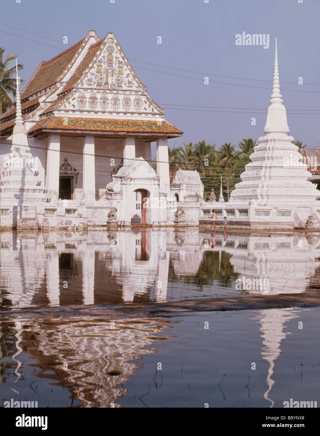 Thailand Bangkok Snake temple Stock Photo - Alamy