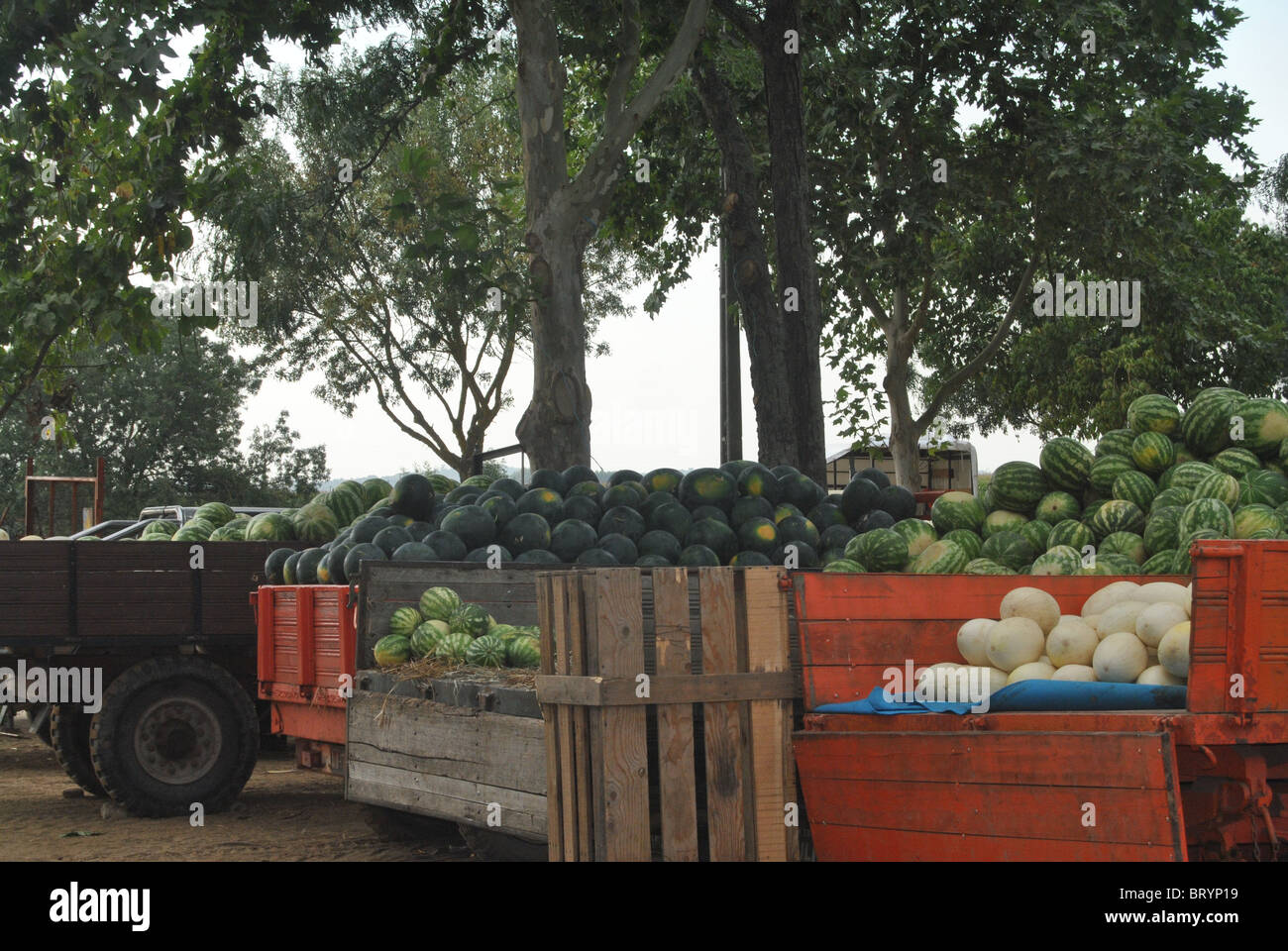 Outdoor market of local goods Stock Photo - Alamy