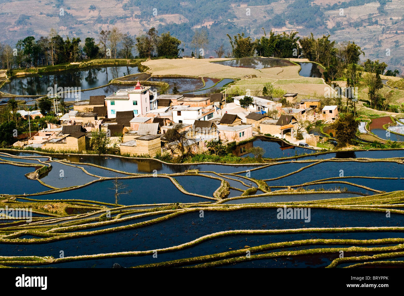 Dramatic rice terrace landscape in the region of YuanYang, Yunnan Stock ...