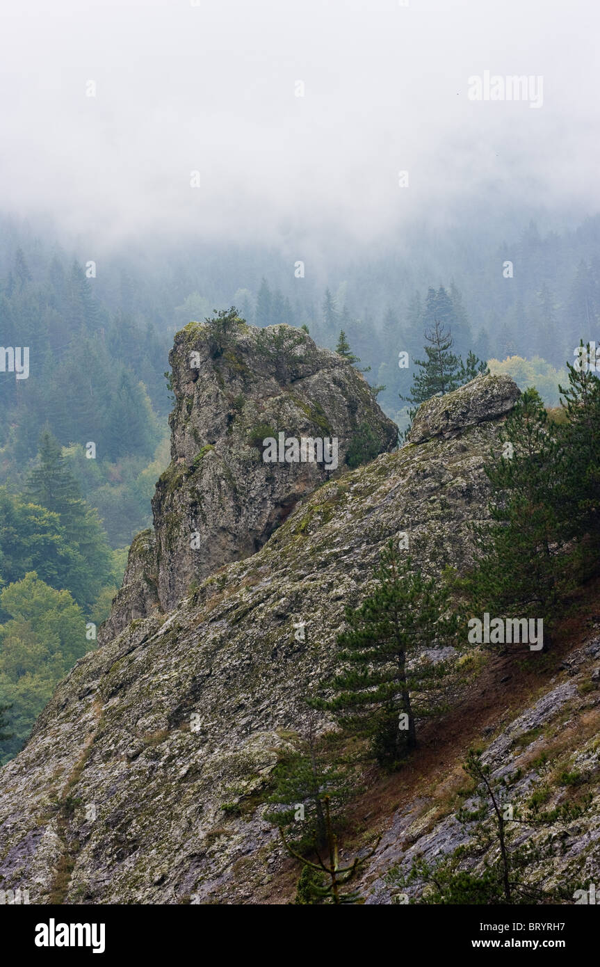 Beautiful scenery rhodope mountains hi-res stock photography and images ...