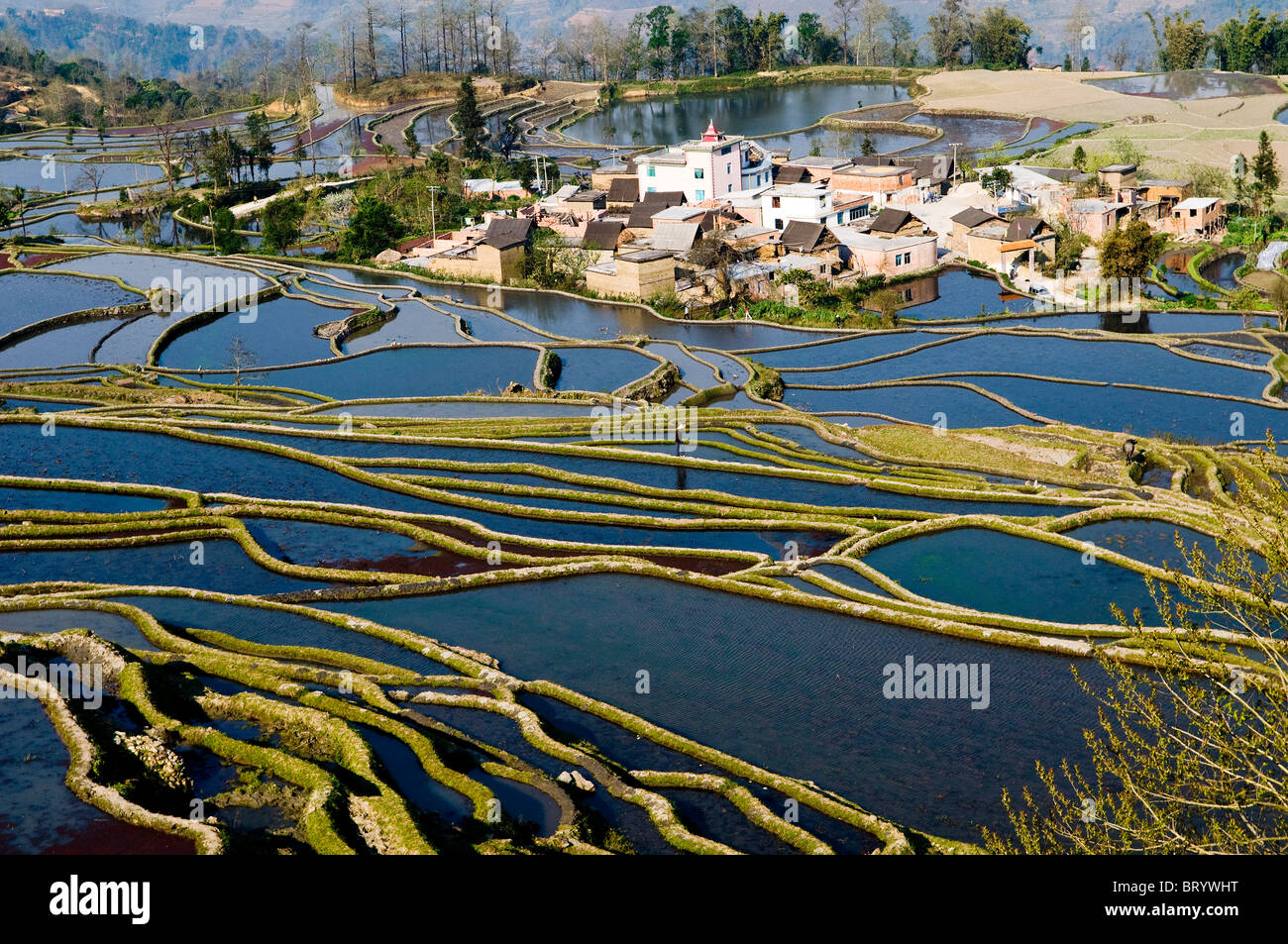 Dramatic rice terrace landscape in the region of YuanYang, Yunnan Stock ...