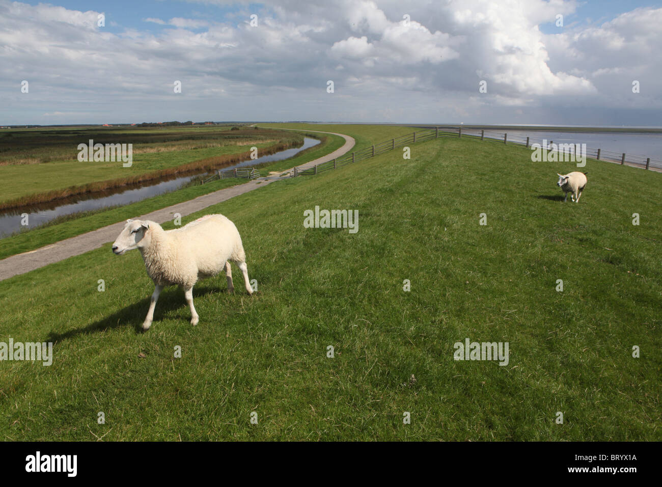 Netherlands Dike High Resolution Stock Photography and Images - Alamy