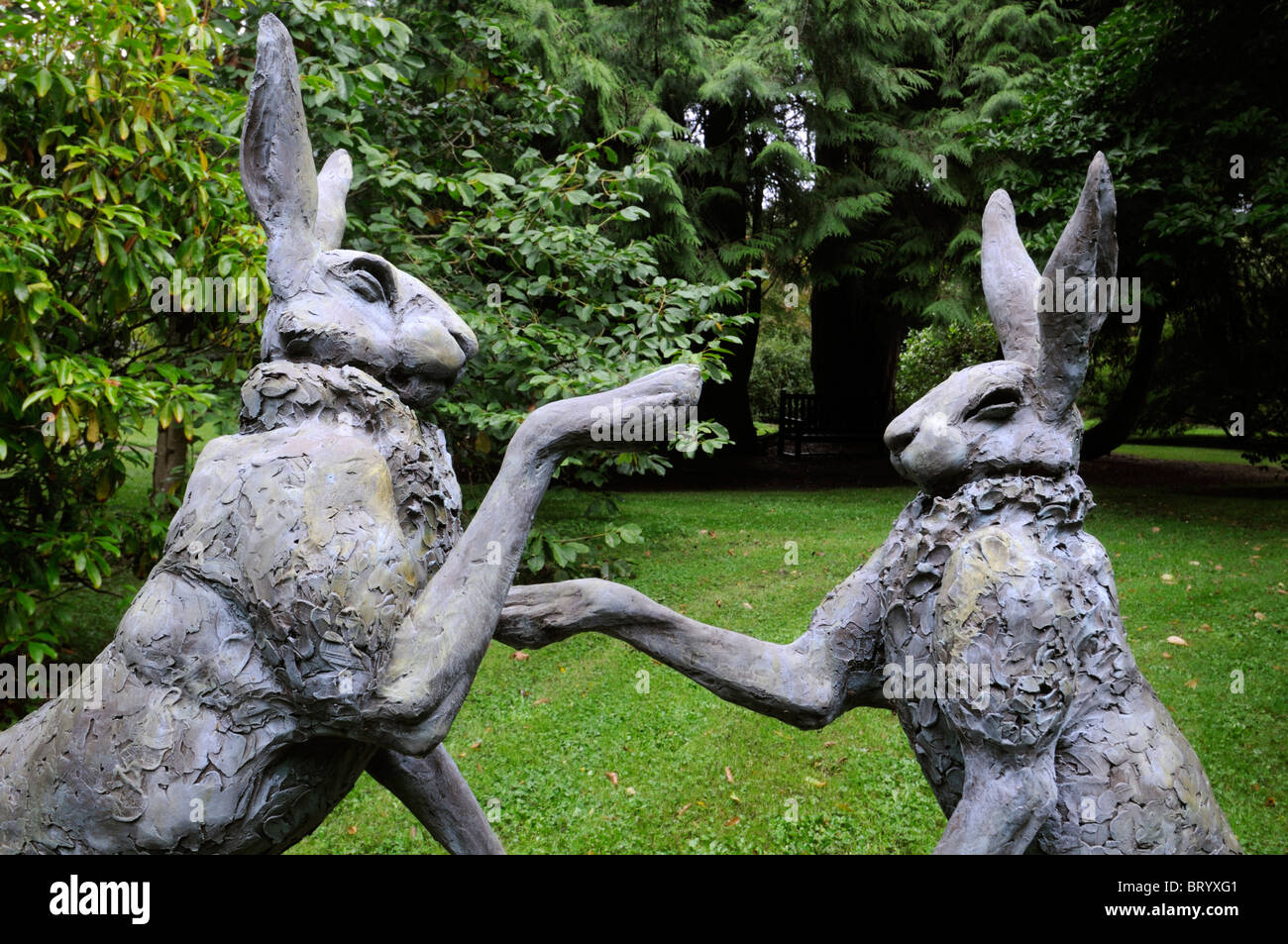 Fighting hares hi-res stock photography and images - Alamy