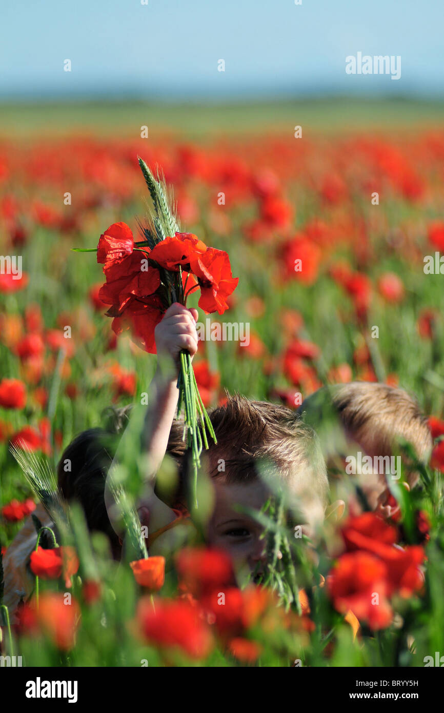 CHILDREN IN A POPPY FIELD, SOMME (80), PICARDY, FRANCE Stock Photo - Alamy