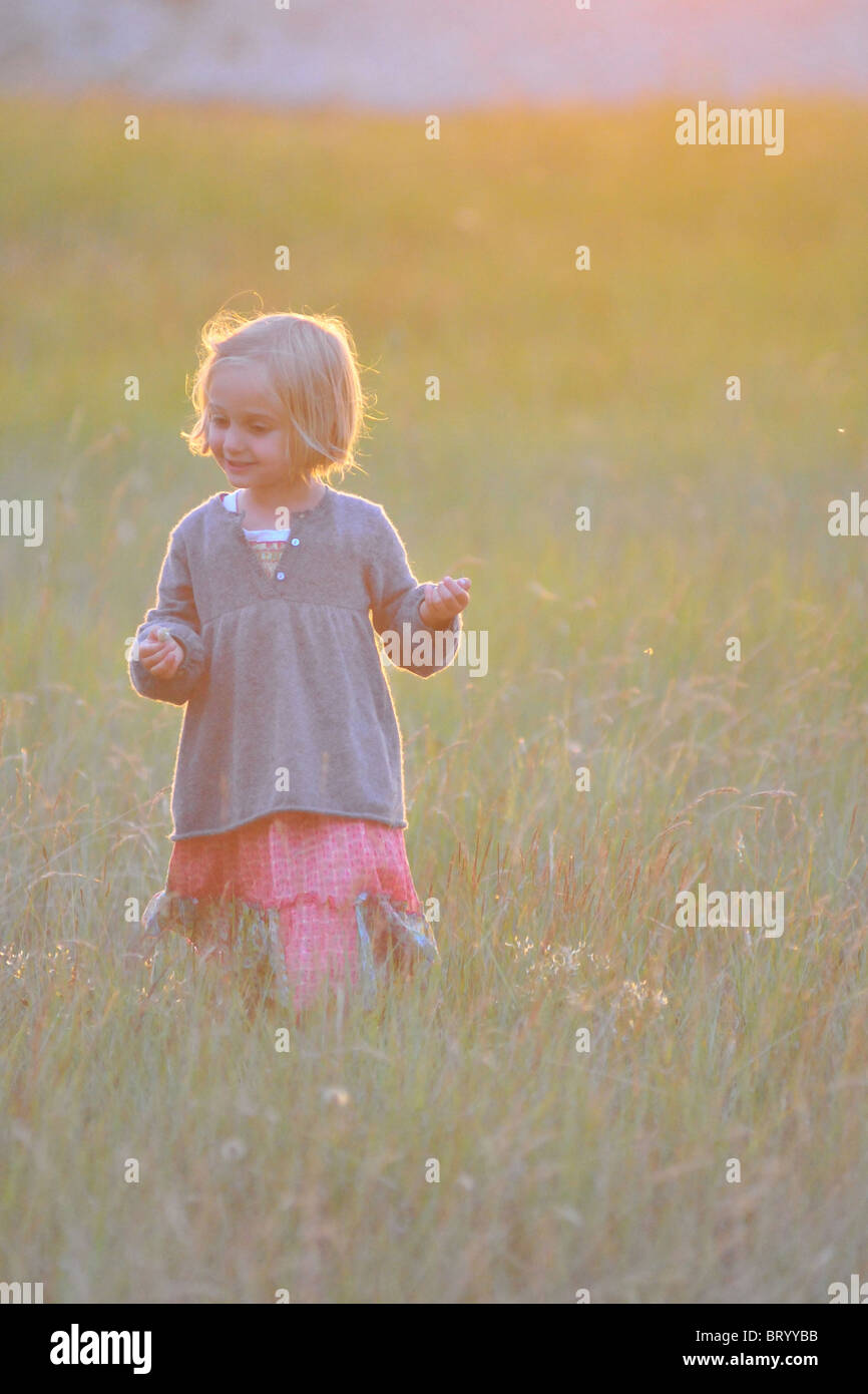 LITTLE GIRL IN A MEADOW, SOMME (80), PICARDY, FRANCE Stock Photo - Alamy