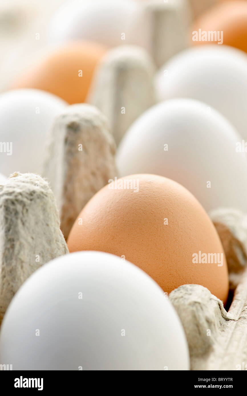 Egg white and carton hi-res stock photography and images - Alamy