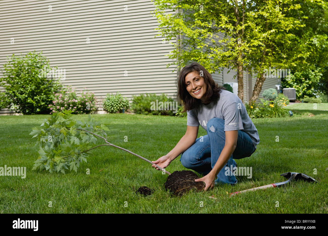 Planting sapling hi-res stock photography and images - Alamy