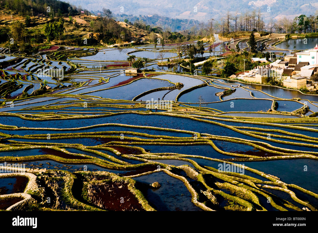 Terrace landscape hi-res stock photography and images - Alamy