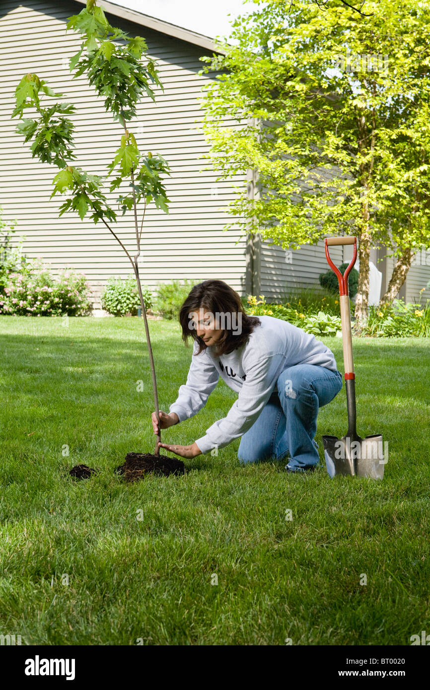 Woman tree planting hi-res stock photography and images - Alamy
