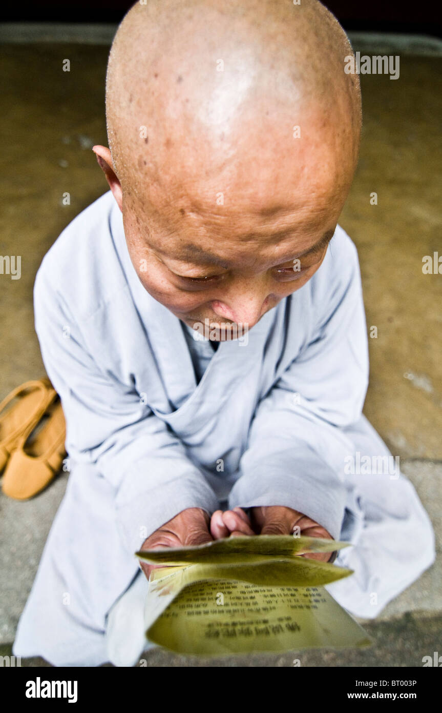 A Chinese Buddhist monk reading scripts from a holy book Stock Photo ...