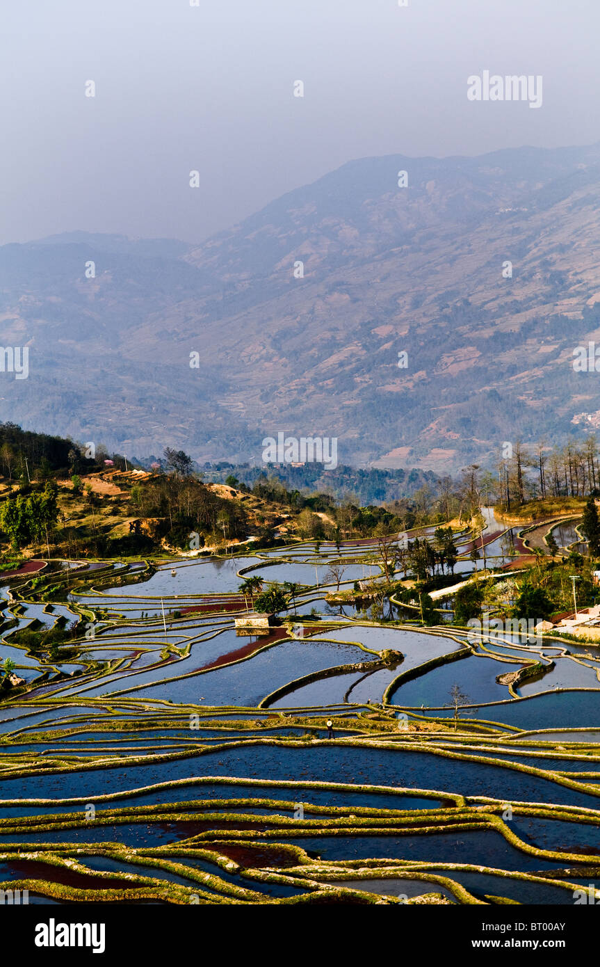 Dramatic rice terrace landscape in the region of YuanYang, Yunnan Stock ...