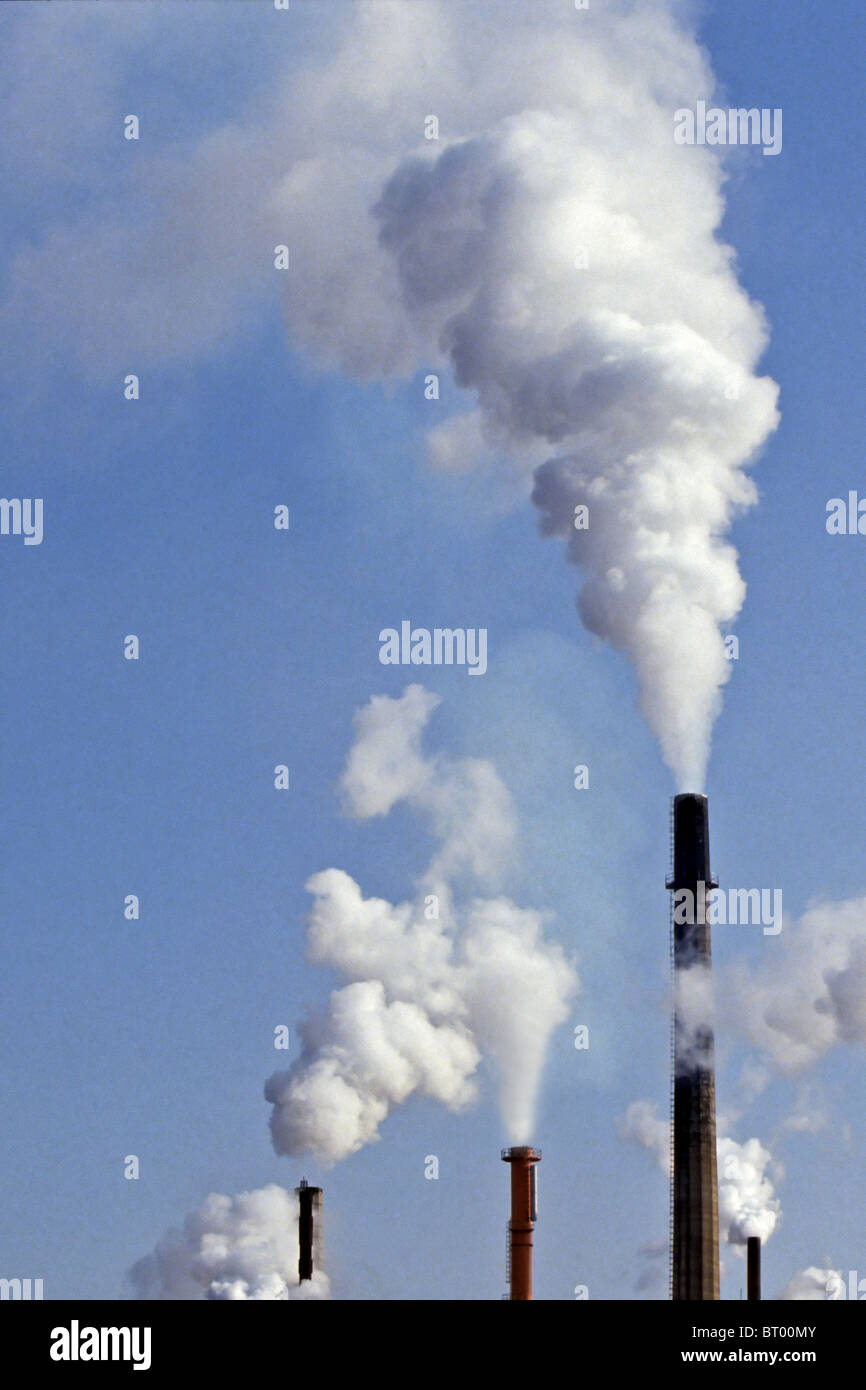 FACTORY SMOKESTACKS, INDUSTRIAL FUMES FROM THE WOOD AND PAPER PULP ...