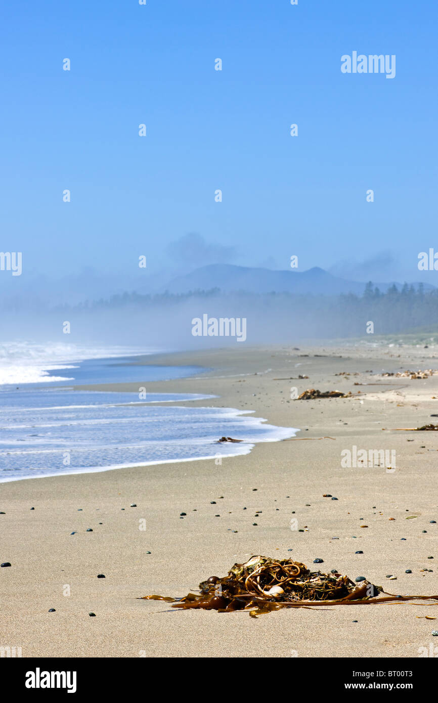 Long Beach in Pacific Rim National park, Canada Stock Photo - Alamy