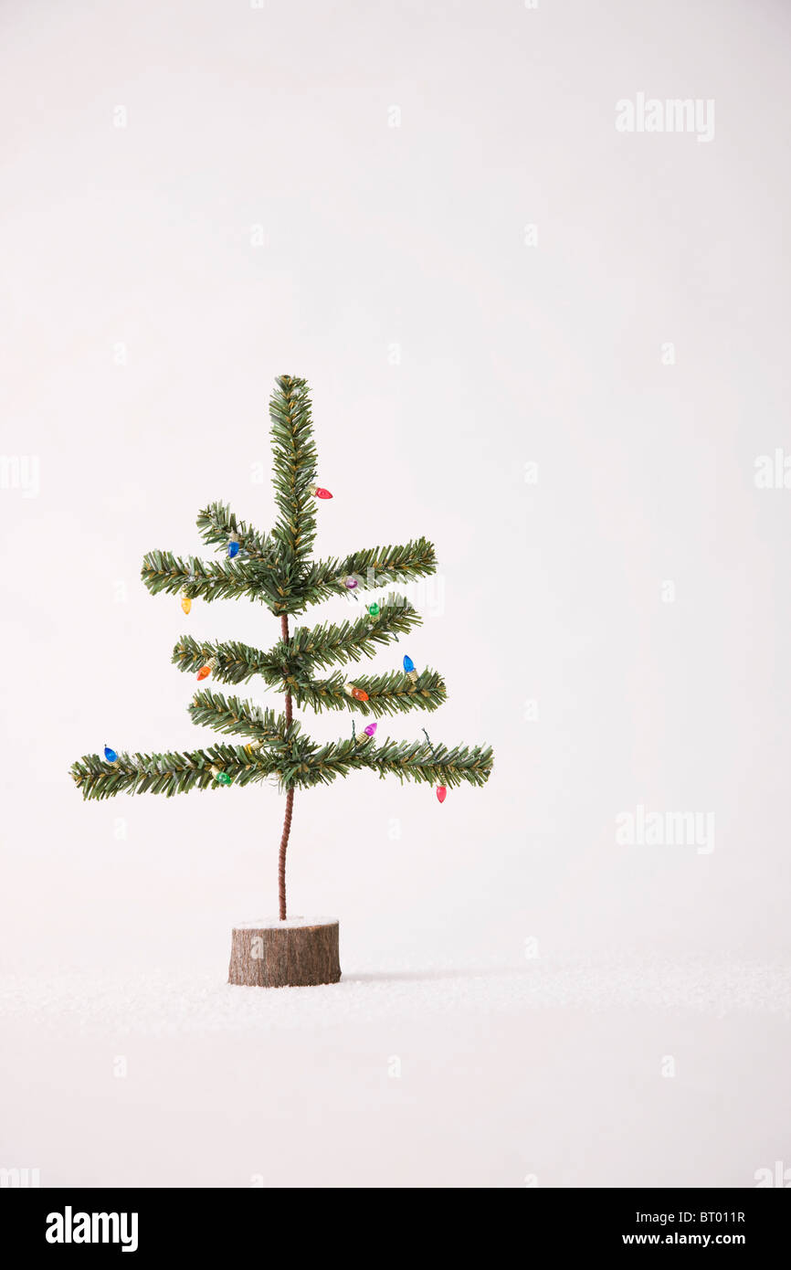 Small Christmas tree against white background Stock Photo - Alamy